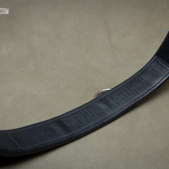 What Makes A Good Play Collar? - Discerning Specialist